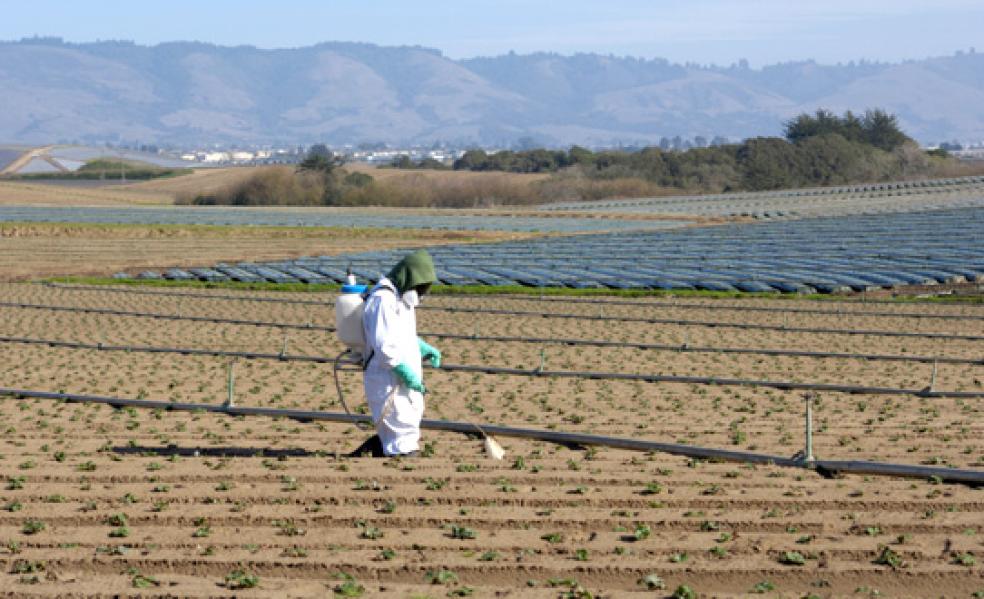 HSU Spurs Pesticide Reform in Ag Country | Humboldt NOW | Cal Poly Humboldt