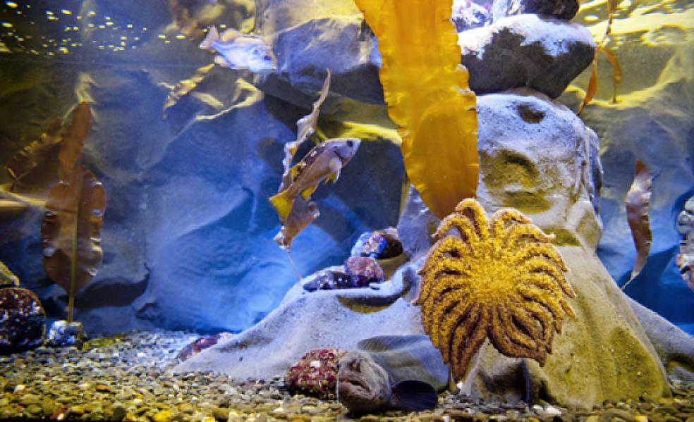 Renovations Make Marine Lab More User-Friendly | Humboldt NOW | Cal ...