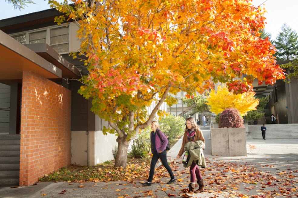 Forestry Students Begin Campus-Wide Tree Census | Humboldt NOW | Cal ...